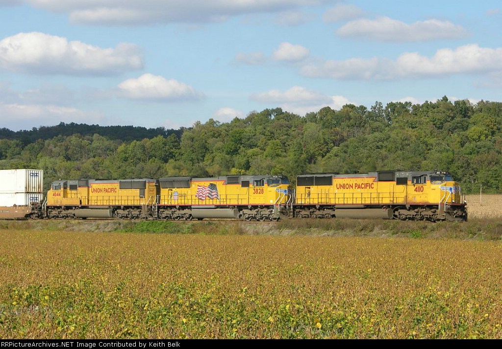 UP 4110, 3828 and 4644